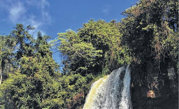 Una atrapante excursión que nos lleva al corazón de la selva de ...