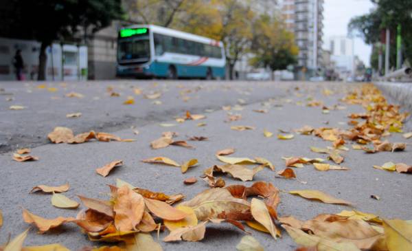 Una jornada gris y húmeda: cómo será el lunes en Bahía Blanca - La Nueva