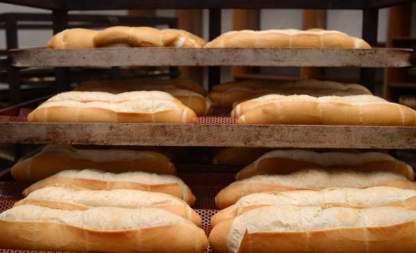 Sube el precio del pan en Bahía: "En el centro lo van a encontrar a 400 ...