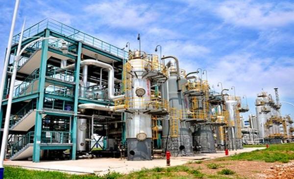 La planta de GNL, la cordura y la responsabilidad a la hora de decidir ...