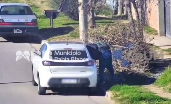 Video: cómo fue el robo de una cartera que terminó con un aprehendido ...