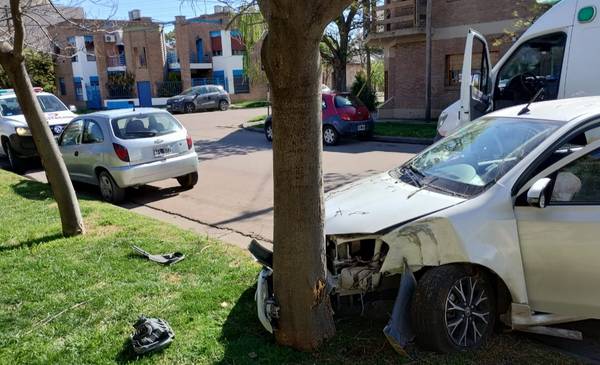 Una mujer se despistó con su auto y terminó chocando contra un árbol ...