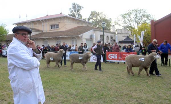 Bordeu 2025: desde hoy (y hasta el lunes) se podrá ver lo mejor de la ...